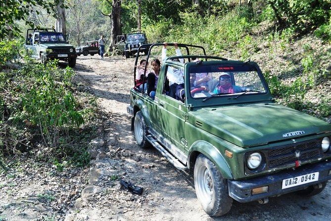 Jungle safari near Rishikesh inside Rajaji National Park - The Sum Up