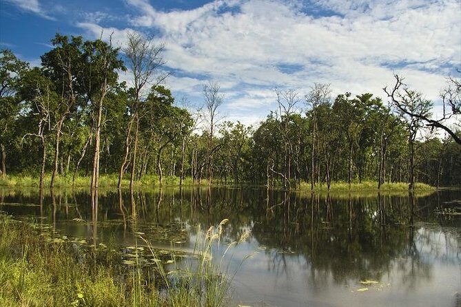 Jungle Safari Tour in Chitwan National Park - Authentic Wildlife Encounters and Stunning Views