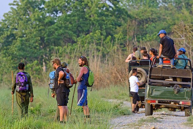 Jungle Safari Tour in Chitwan National Park - The Sum Up