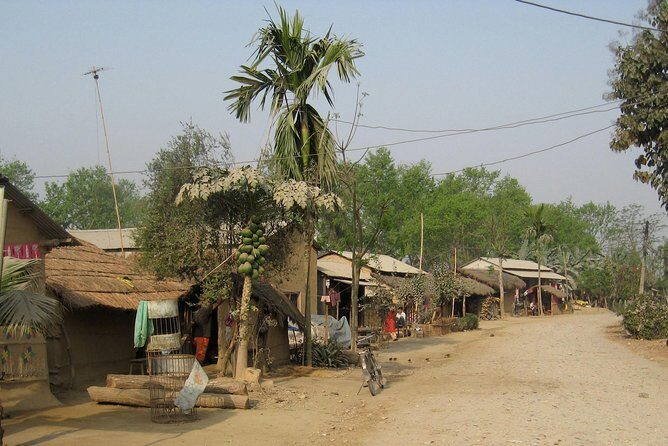 Jungle Safari Tour in Chitwan National Park - FAQ