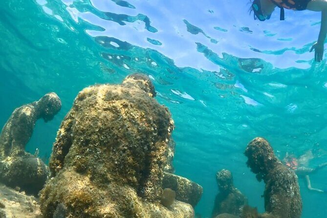 Jungle Speedboat, Mayan Show and Snorkeling Combo - The Sum Up