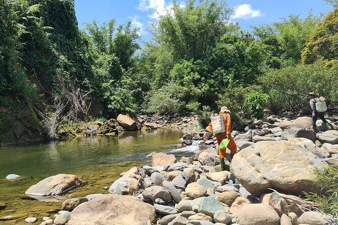 Jungle Survival Tour - Return to Nature - Depart from Hue, Da Nang - Value and Practicalities