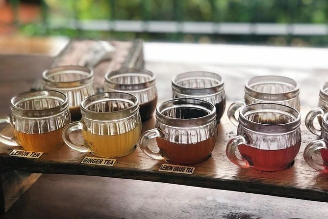 Jungle Swing - Volcano - Water Temple - Monkey Forest and Waterfall Tour - The Experience of the Guide & Value