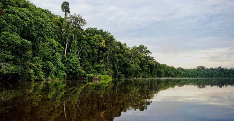 Jungle Tambopata 2D |Monkey Island + Search for alligators| - Who Should Consider This Tour?