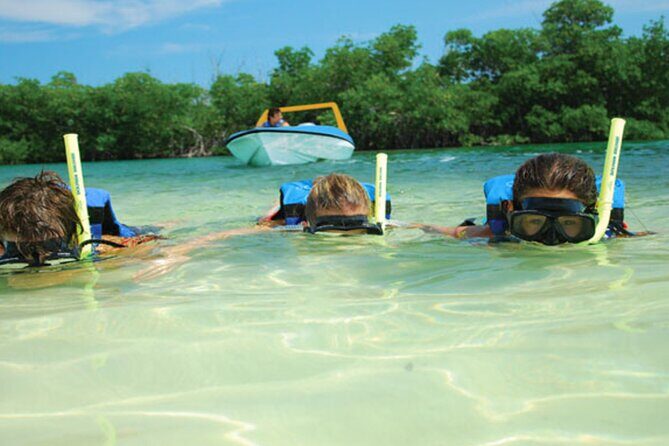 Jungle Tour Adventure in Cancun with Snorkeling - Final Thoughts: Is It Worth It?