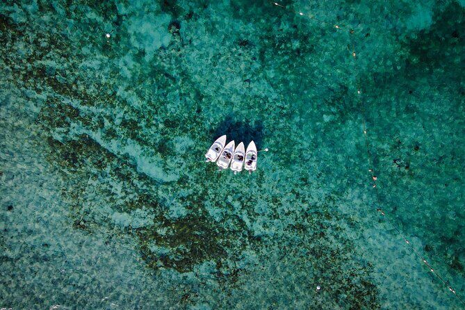 Jungle Tour & Snorkel at Punta Nizuc Reef , Underwater museum - A Closer Look at the Jungle Tour & Snorkel Experience