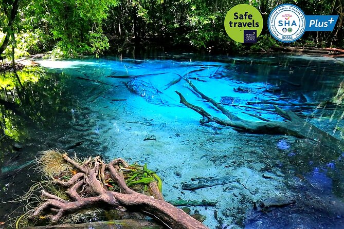 Jungle Tour to Emerald Pool, Krabi Hot Spring and Tiger Cave Temple - Emerald Pool (Sa Morakot)