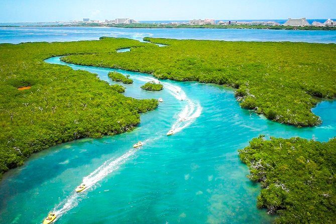 Jungle Tour with Snorkel in Cancun - A Close Look at the Experience