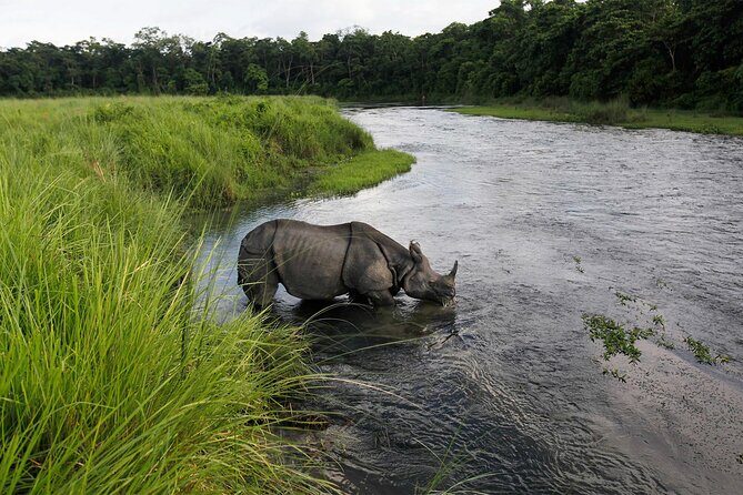 Jungle Tower Night Stay in Chitwan National Park 2 Nights 3 Days - A Close Look at the Itinerary