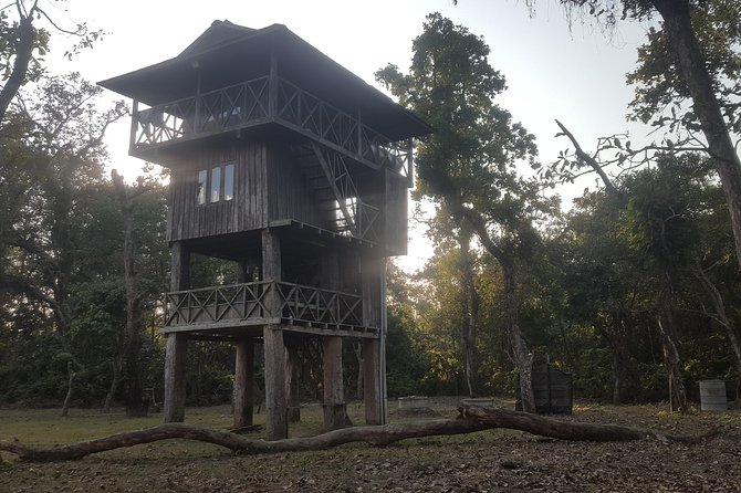 Jungle Towernight Stay In Chitwan National Park ,nepal-2 Nights 3 Days Package - Pricing and Value
