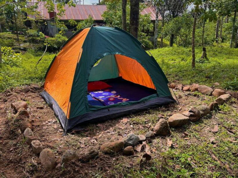 Jungle Trek including stay Batu Ridi Jungle - Who Will Love This Tour?