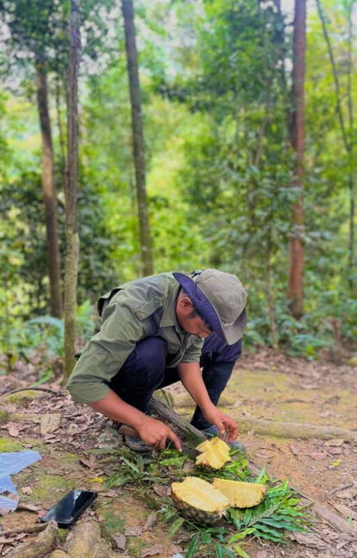 Jungle Trek including stay Batu Ridi Jungle - Summary: Why Choose This Jungle Trek?