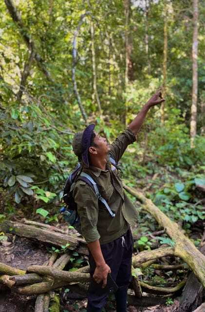 Jungle Trek including stay Batu Ridi Jungle - FAQ