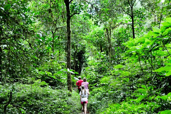 Jungle Trekking and Tamblingan Lake Canoeing in Bali Rainforest - Who Will Love This Tour?