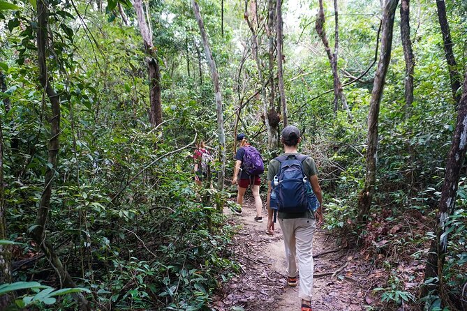 Jungle Trekking Tour at Phnom Kulen National Park from Siem Reap - Who Will Love This Tour?