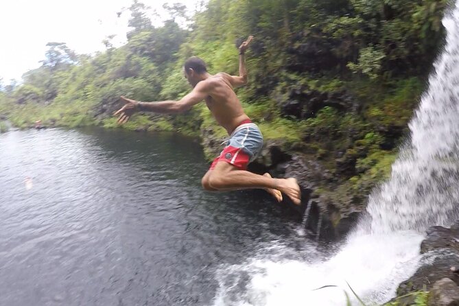 Jungle Waterfall Adventure on Maui - Unique Features of the Tour