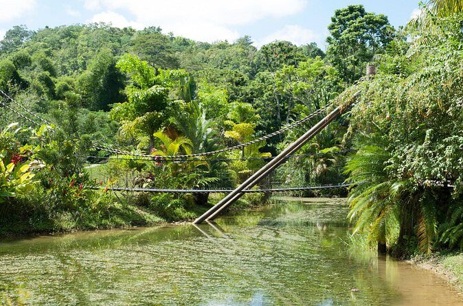 Jungle Zipline and River Tubing Private Tour - Who Should Book This Tour?
