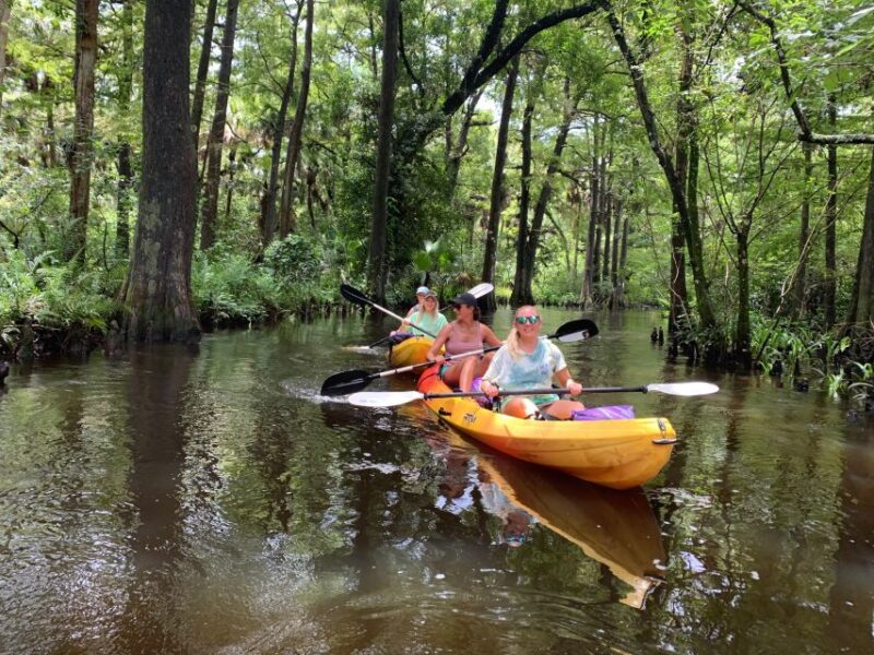 Jupiter: Wild and Scenic Loxahatchee River Kayak Tour - Introduction