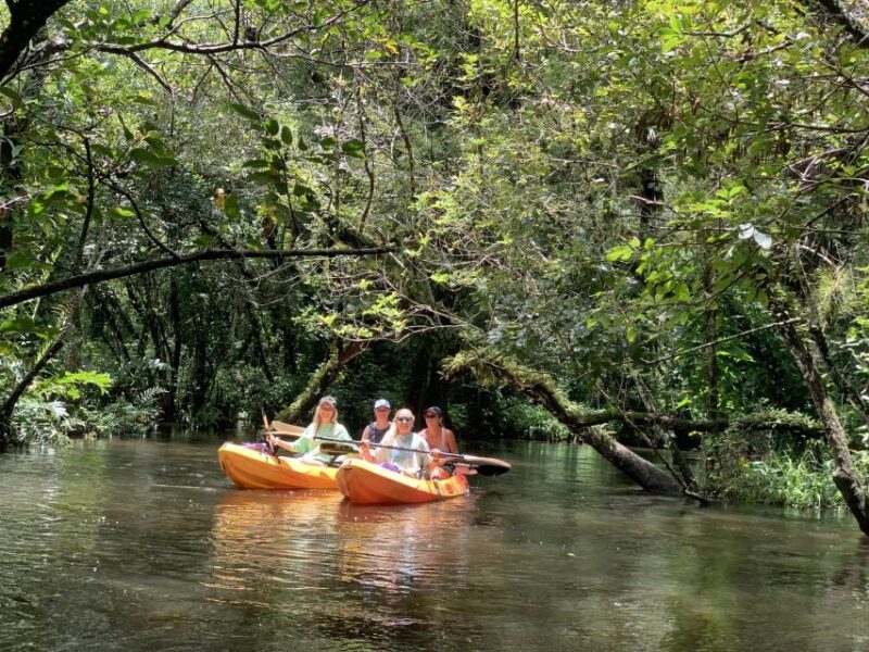 Jupiter: Wild and Scenic Loxahatchee River Kayak Tour - What to Expect on the Tour