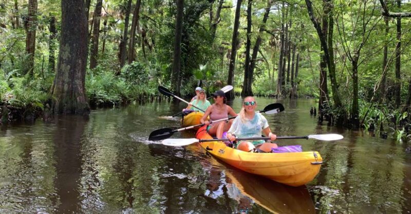 Jupiter: Wild and Scenic Loxahatchee River Kayak Tour - Reviews and Real Traveler Perspectives