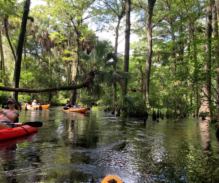 Jupiter: Wild and Scenic Loxahatchee River Kayak Tour - Final Thoughts: Who Will Love This Tour?