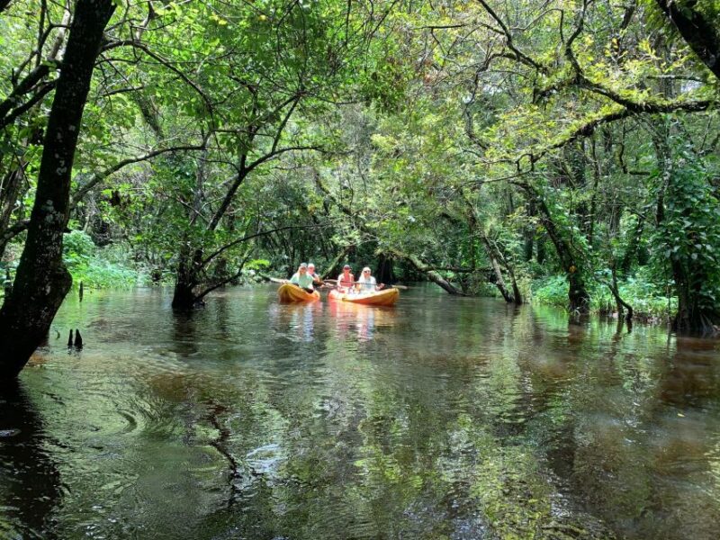 Jupiter: Wild and Scenic Loxahatchee River Kayak Tour - The Sum Up