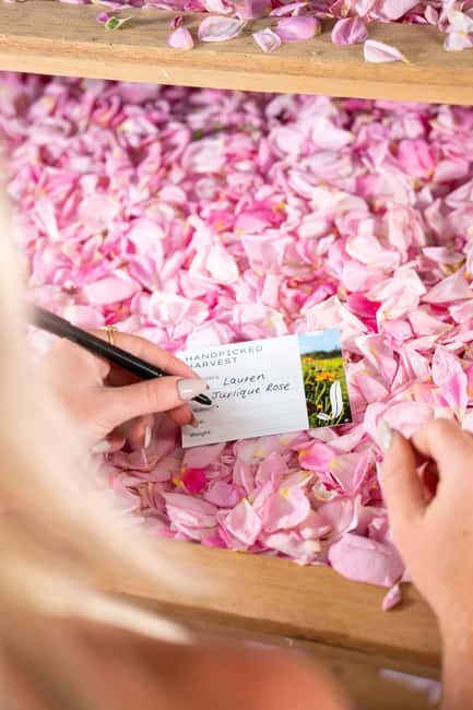 Jurlique Handpicked Masterclass - Key Points