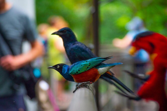 Jurong Bird Park Bird Photography - Final Thoughts
