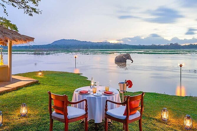 Just Camp It 7 Day Round Tour of Top 5 Attactions in Sri Lanka - Price and Value