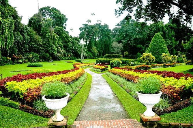 Just Camp It 7 Day Round Tour of Top 5 Attactions in Sri Lanka - Who Should Consider This Tour?