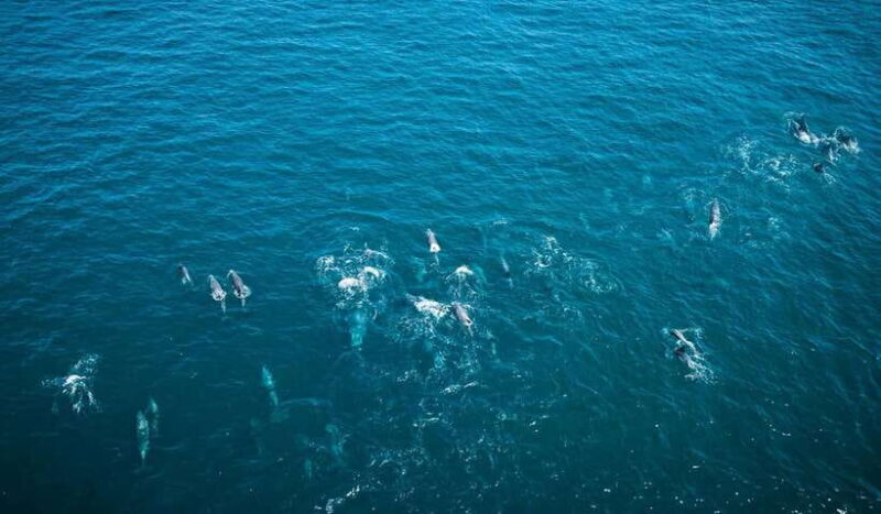 K-Drama Spot: Jeju Western Tour with Hotel Pickup - Who Would Love This Tour?