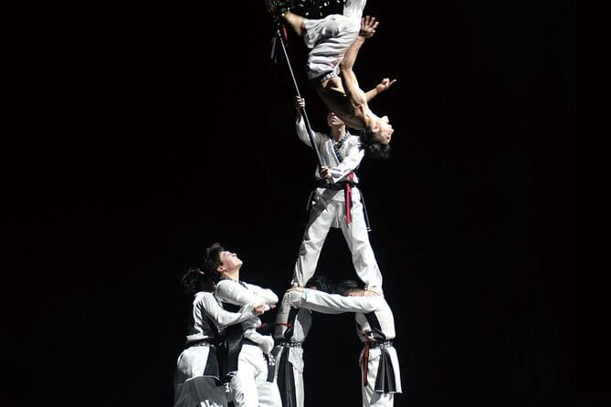 K-Kick Taekwondo Show Ticket at Seoul - Key Points