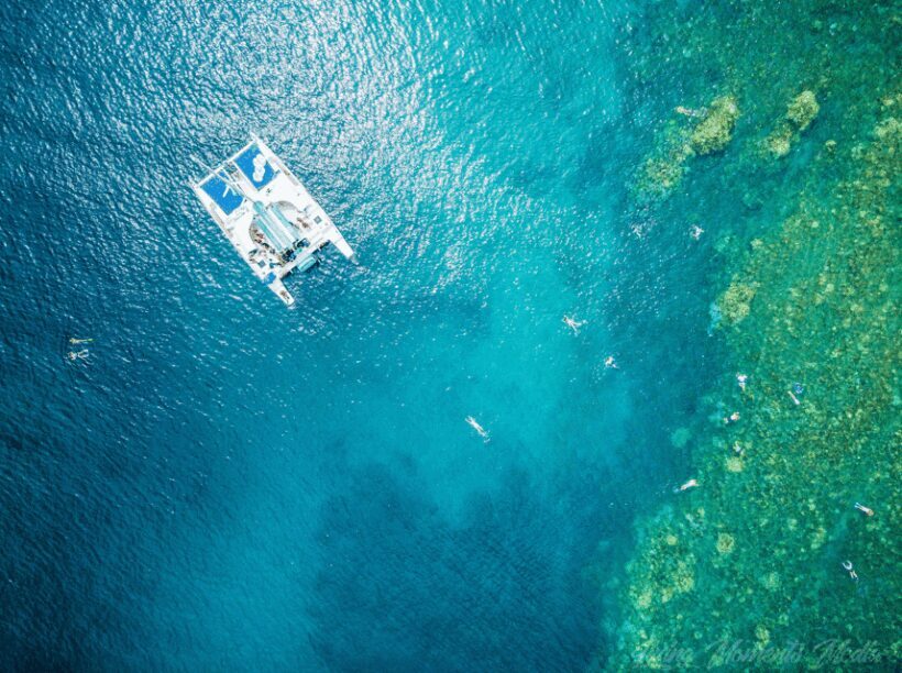 Ka'anapali Beach: Coral Reef Snorkel and Turtle Spotting - Final Thoughts