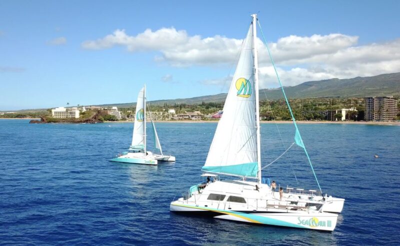 Kaanapali: Sunset Dinner Catamaran Cruise With Drinks - Who Should Consider This Experience?