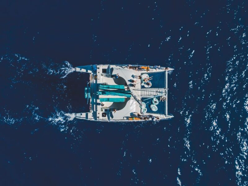 Kaanapali: Whale Watching Cruise with Open Bar - Key Points