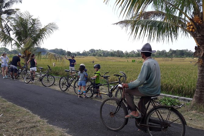 Kaba Kaba Reason for Harmony Cycling - Key Points