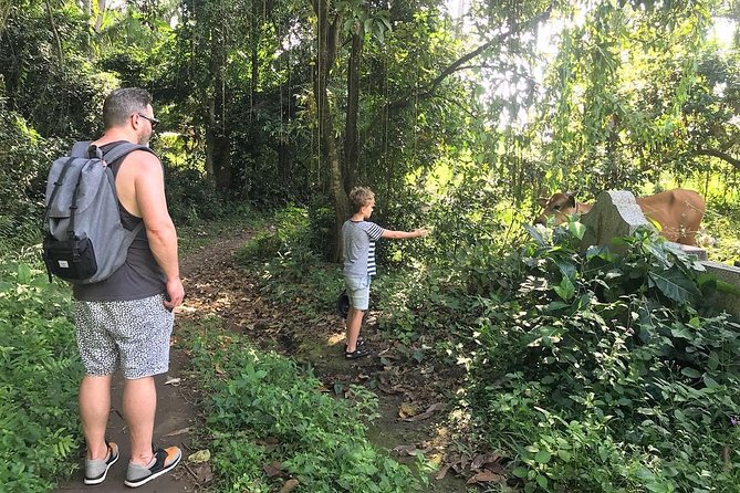 Kaba Kaba Reason for Harmony Cycling - Final Thoughts