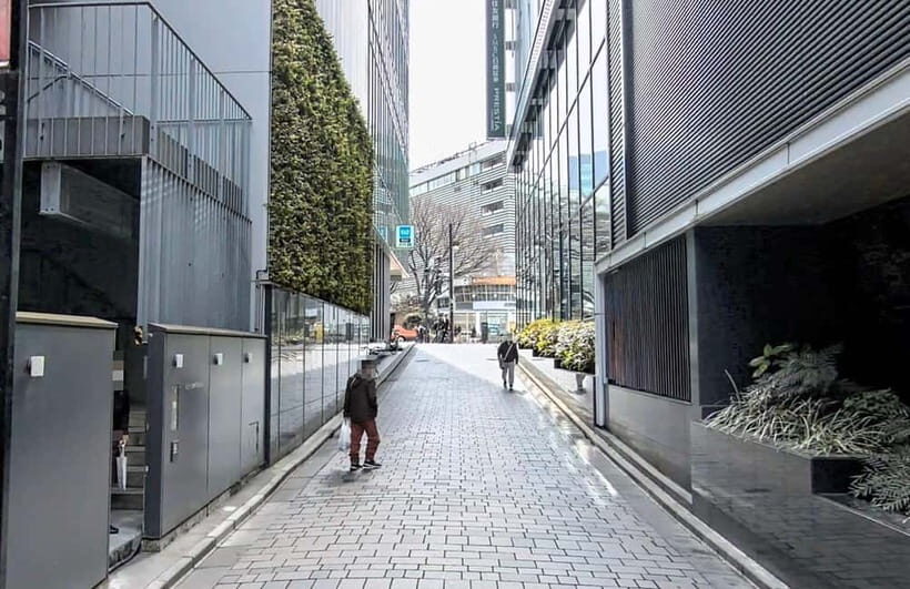Kabukicho Macabre Tour - the Real Tokyo Vice - An In-Depth Look at the Kabukicho Macabre Tour