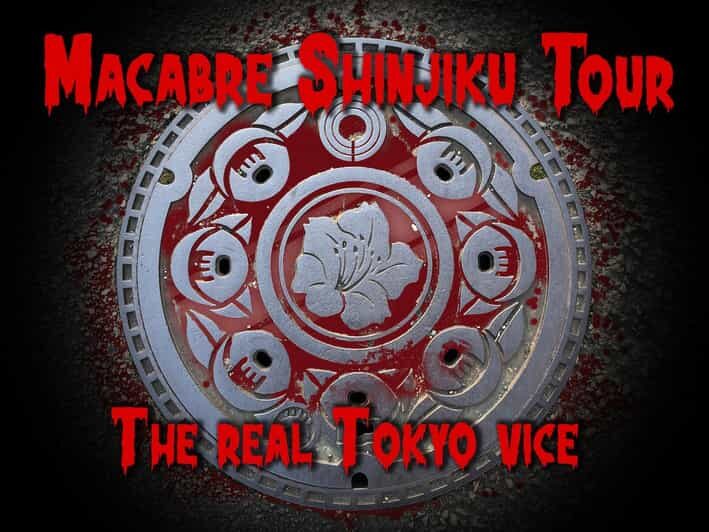 Kabukicho Macabre Tour - the Real Tokyo Vice - The Sum Up: Who Will Love This Tour?