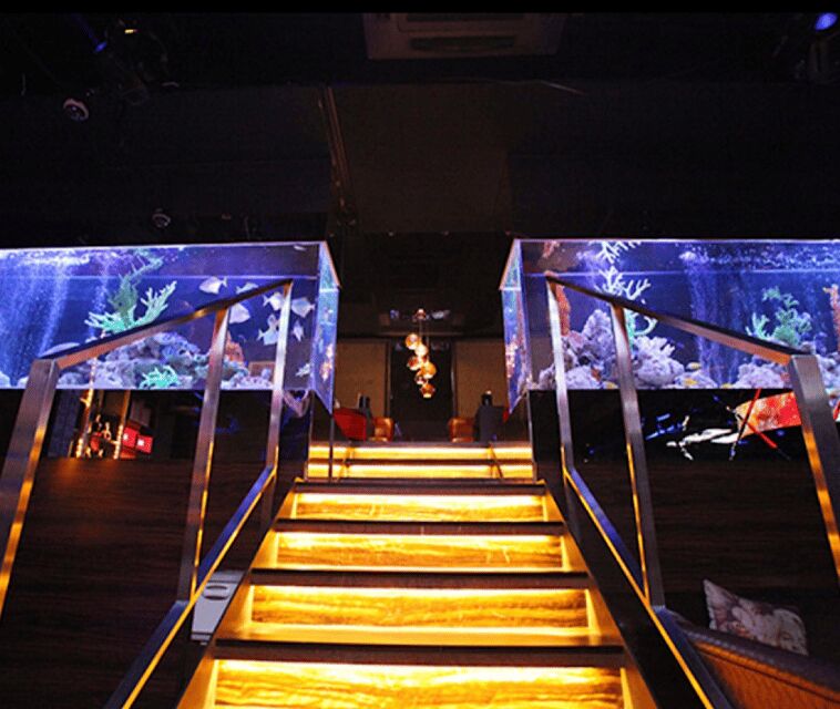 Kabukicho, Shinjuku: experiencing Japanese Host Club - An In-Depth Look at the Experience