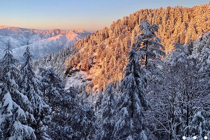 Kaflani Day Hike - Mussoorie - Deep Dive into the Experience