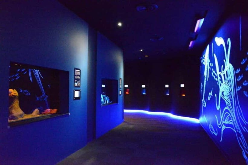 Kagoshima Aquarium Admission Ticket - Key Points