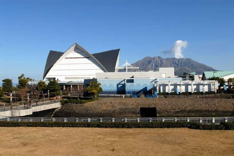 Kagoshima Aquarium Admission Ticket - Final Thoughts