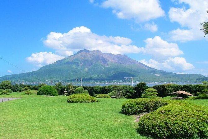 Kagoshima Full-Day Private Tour With Government-Licensed Guide - Accessibility