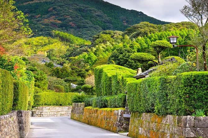 Kagoshima Full-Day Private Tour With Government-Licensed Guide - Tour Customization