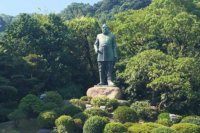 Kagoshima Full-Day Private Tour With Government-Licensed Guide - Guide Expertise