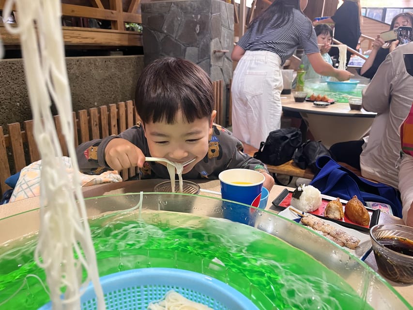 Kagoshima: Ibusuki City and Mount Kaimon Dake Tour - Guided Tour and Insights