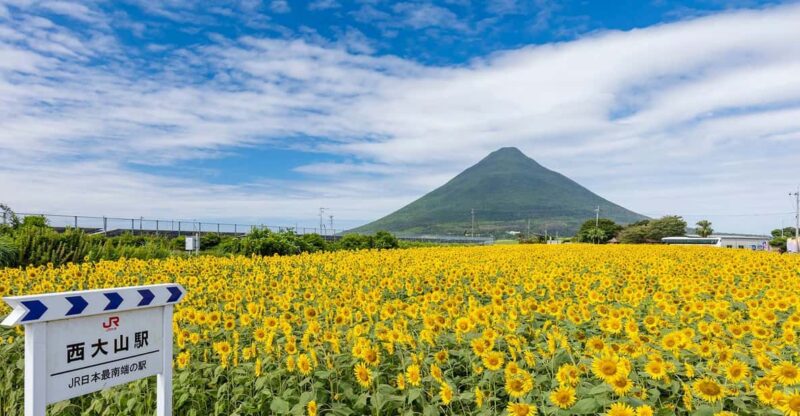 Kagoshima: Ibusuki City and Mount Kaimon Dake Tour - Frequently Asked Questions