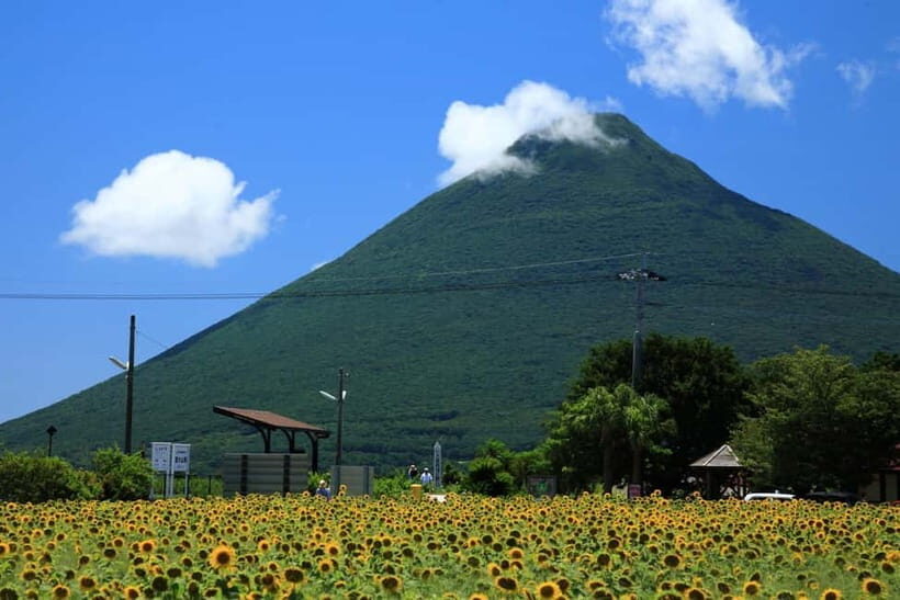 Kagoshima: Ibusuki City and Mount Kaimon Day Tour - Who Should Consider This Tour?