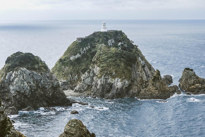 Kagoshima Private Customizable Half Day Tour - Itinerary Customization